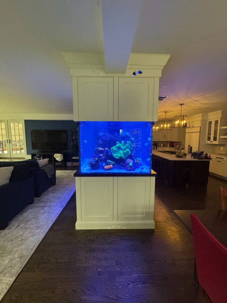 Custom Aquarium Installation in Union County: Installing A Freestandin ...